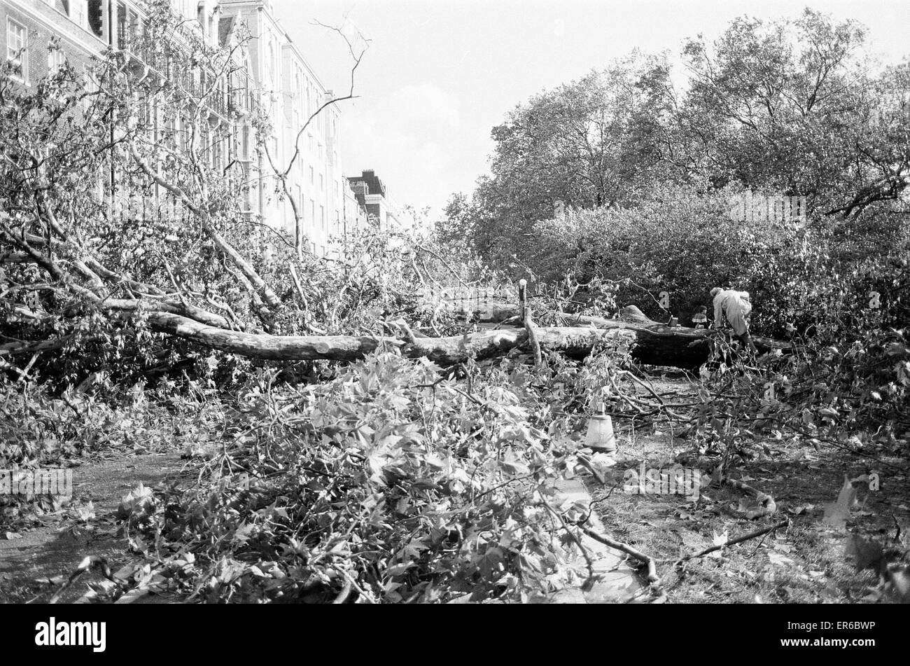 Hurricane damage england 1987 hi-res stock photography and images - Alamy
