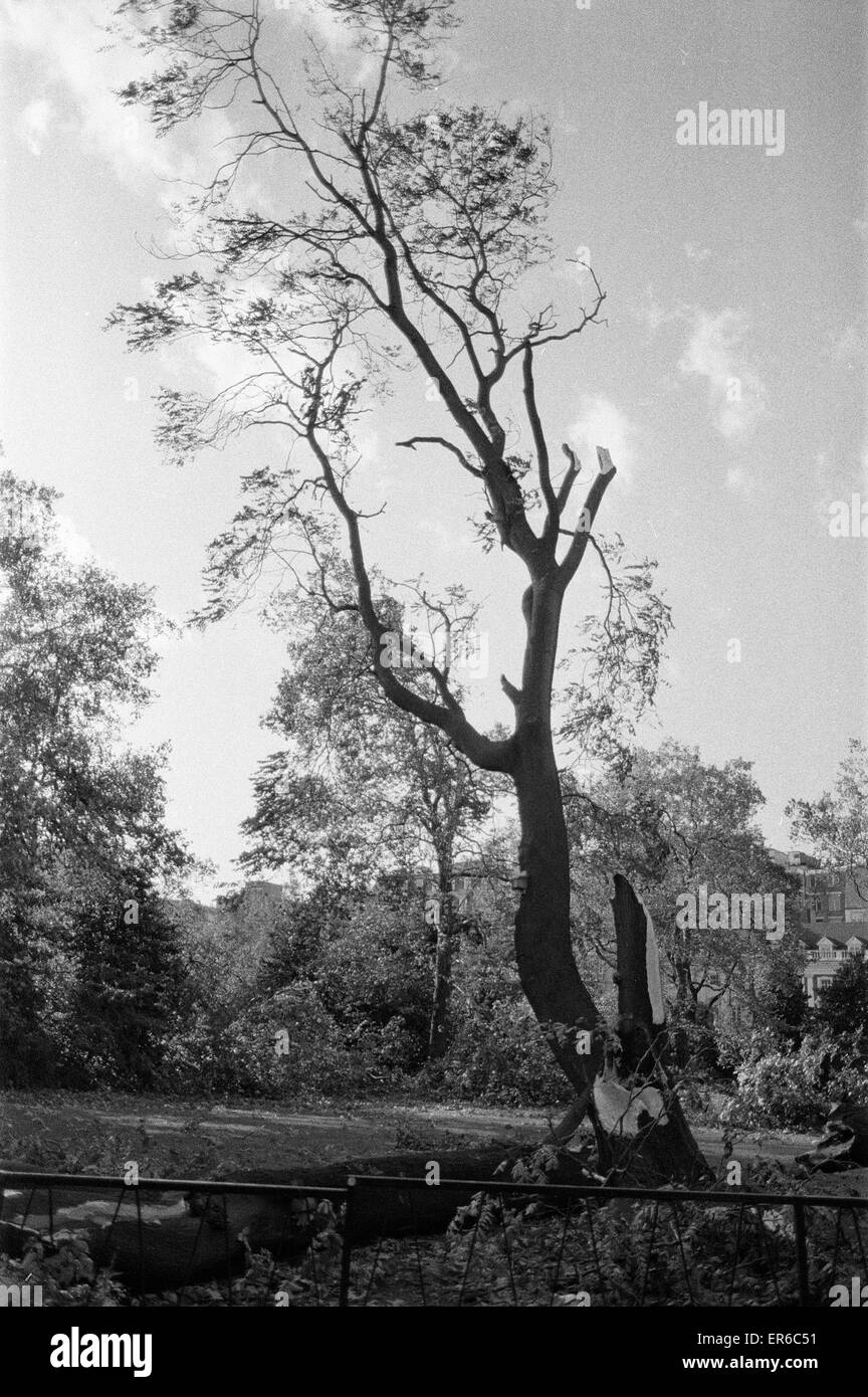 1703 Great Storm High Resolution Stock Photography and Images - Alamy