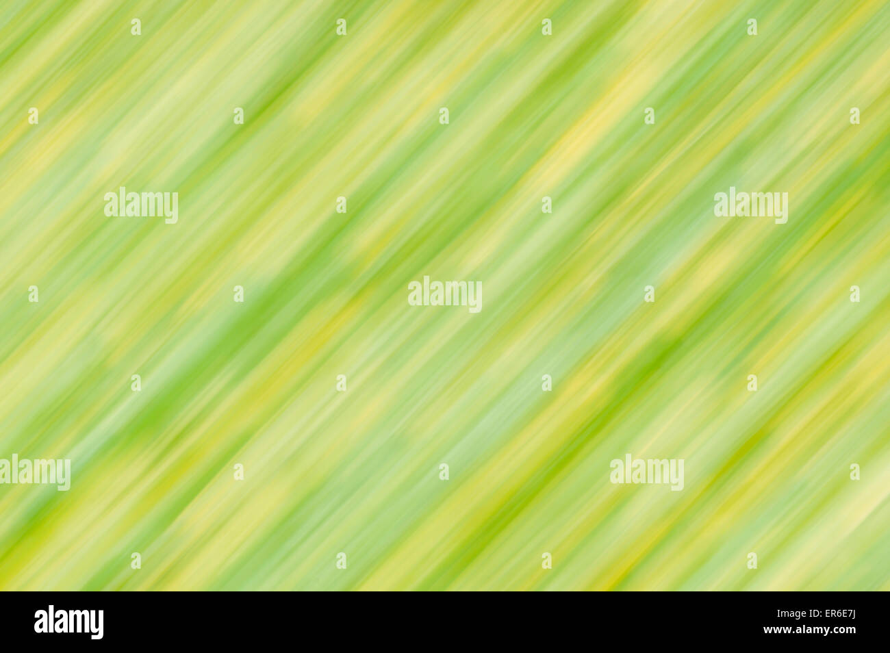Striped natural background in green and yellow tints Stock Photo - Alamy