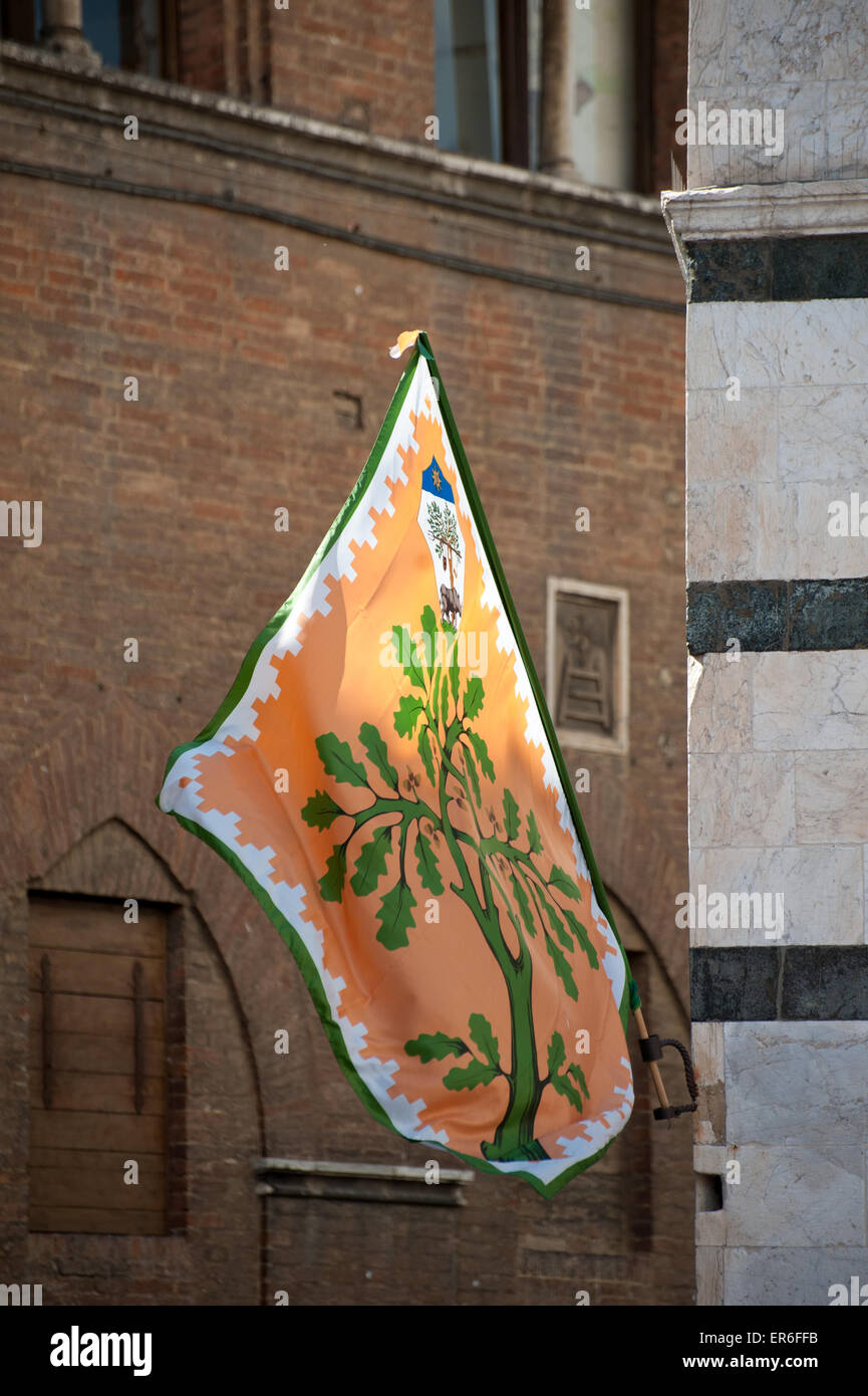 flag of Contrada della Selva at Corteo Storico before the Palio horse ...
