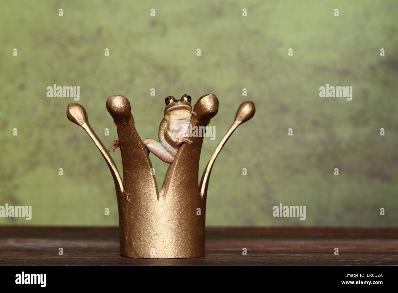 Frogs and king hi-res stock photography and images - Alamy