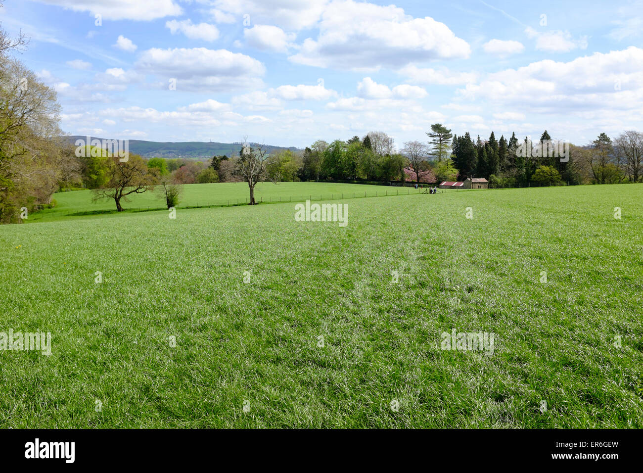 Ribble valley in spring hi-res stock photography and images - Alamy