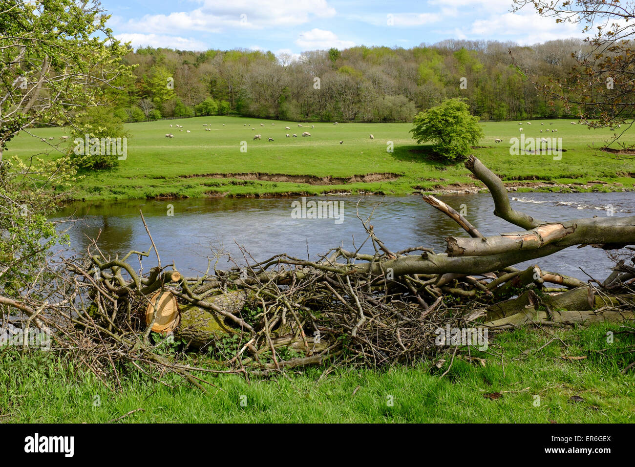 Rural scenes uk hi-res stock photography and images - Alamy