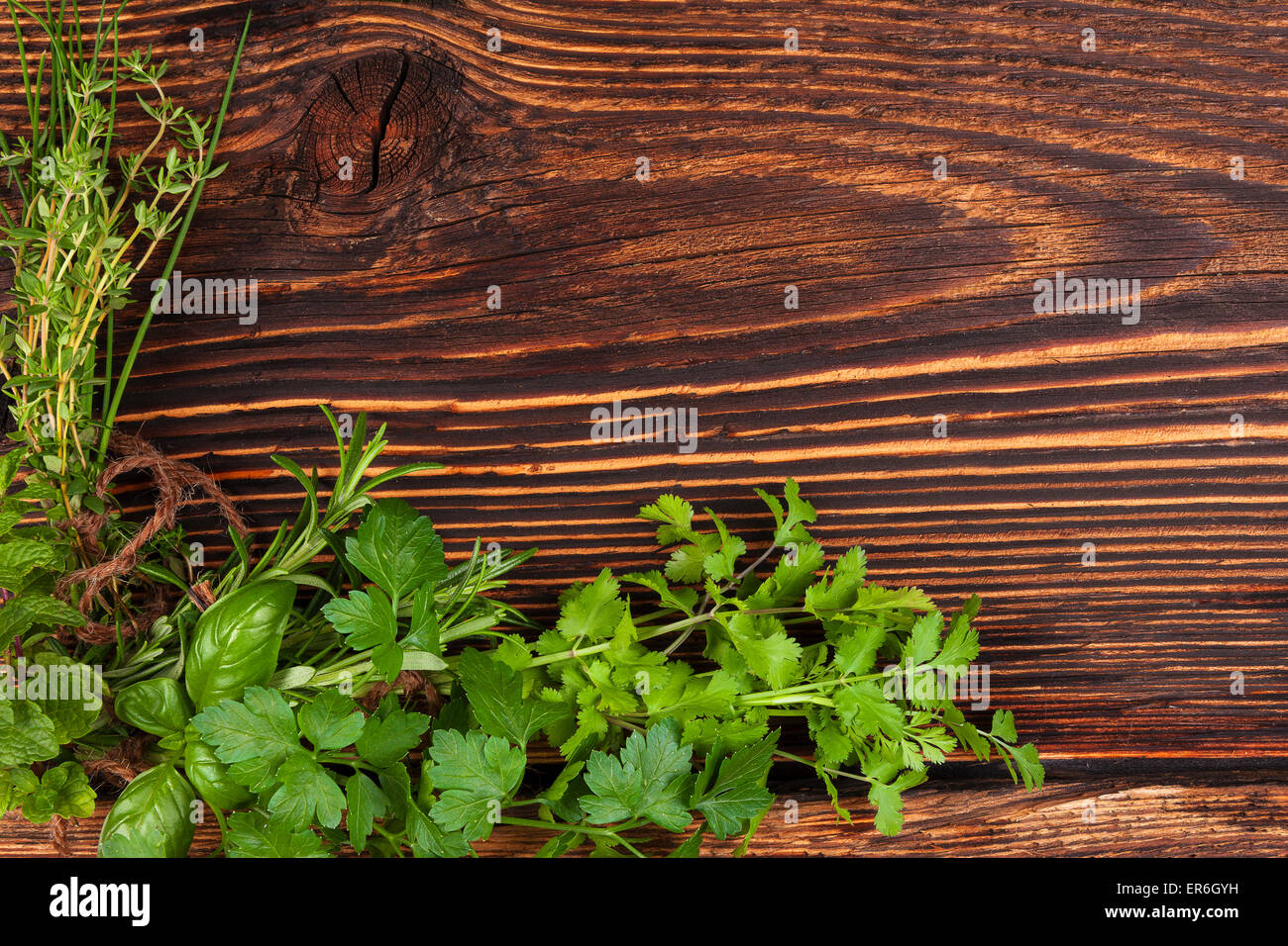 Culinary herbs background with copy space. Fresh basil, cilantro, chive ...