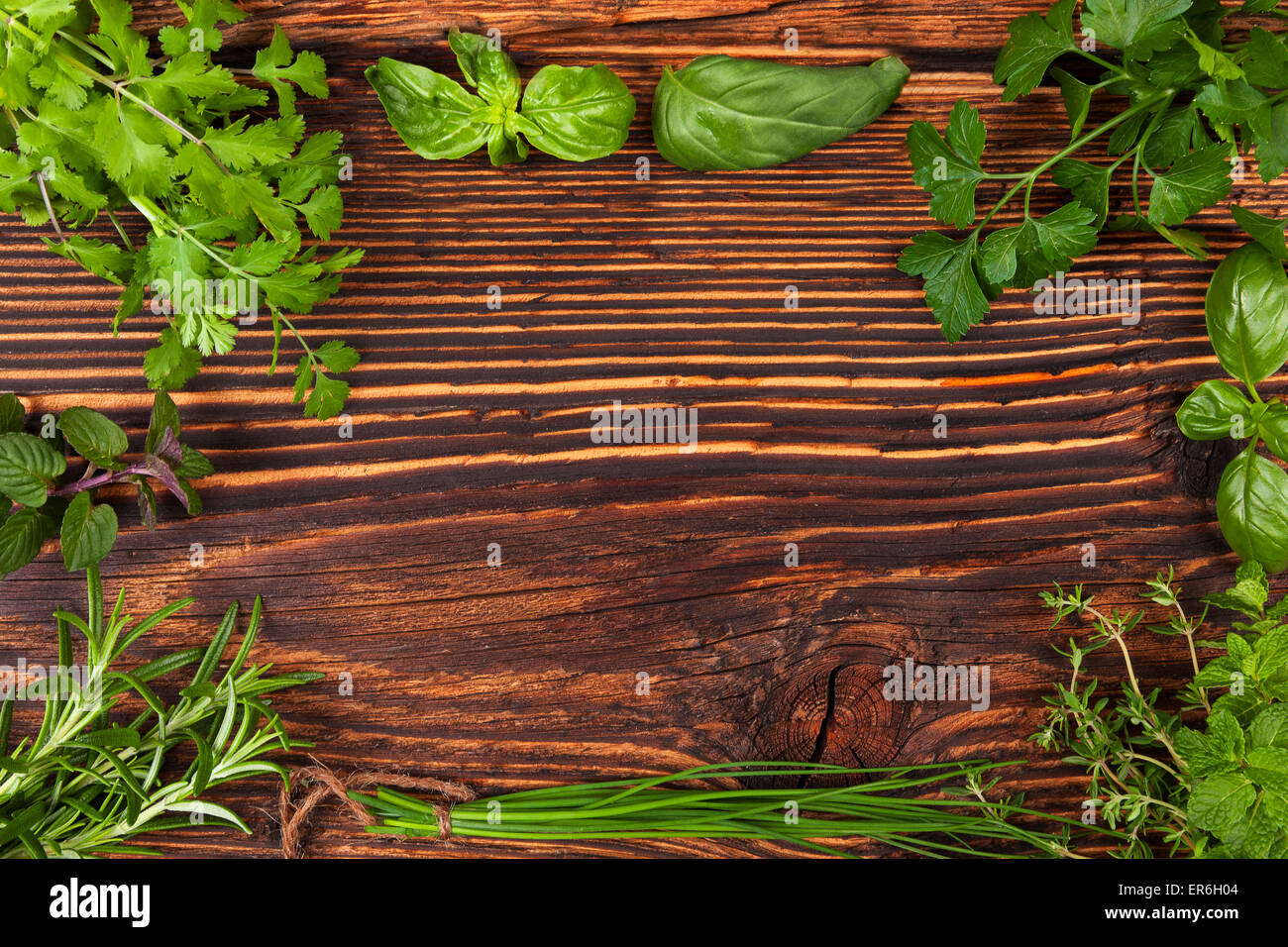Culinary herbs background with copy space. Fresh basil, cilantro, chive ...