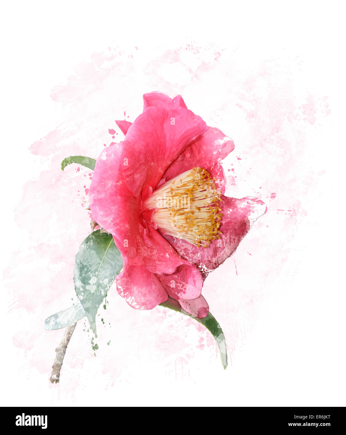 Digital Painting of Pink Rose Stock Photo - Alamy