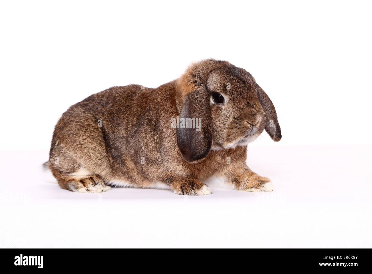 German Lop