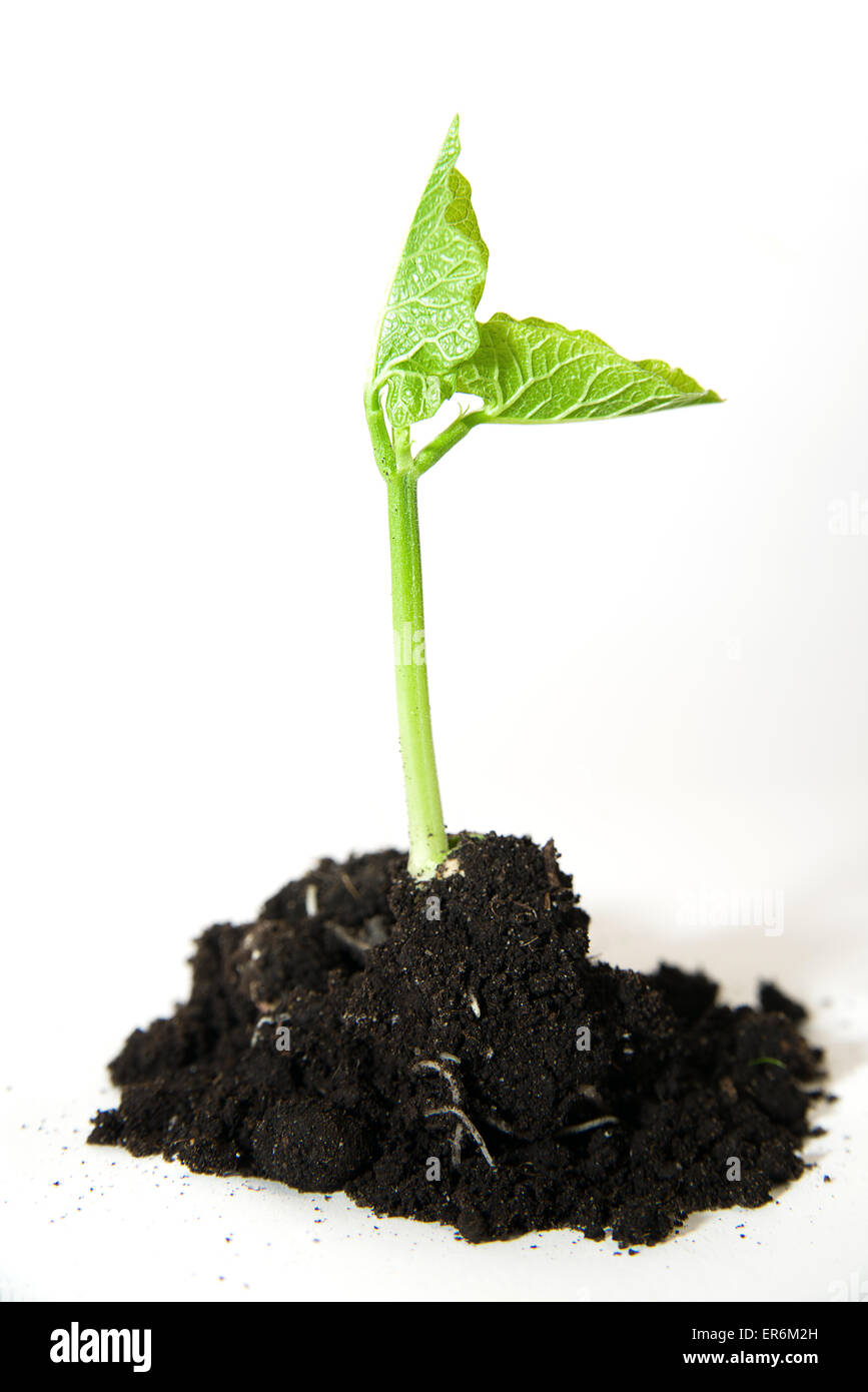 Pile of soil hi-res stock photography and images - Alamy