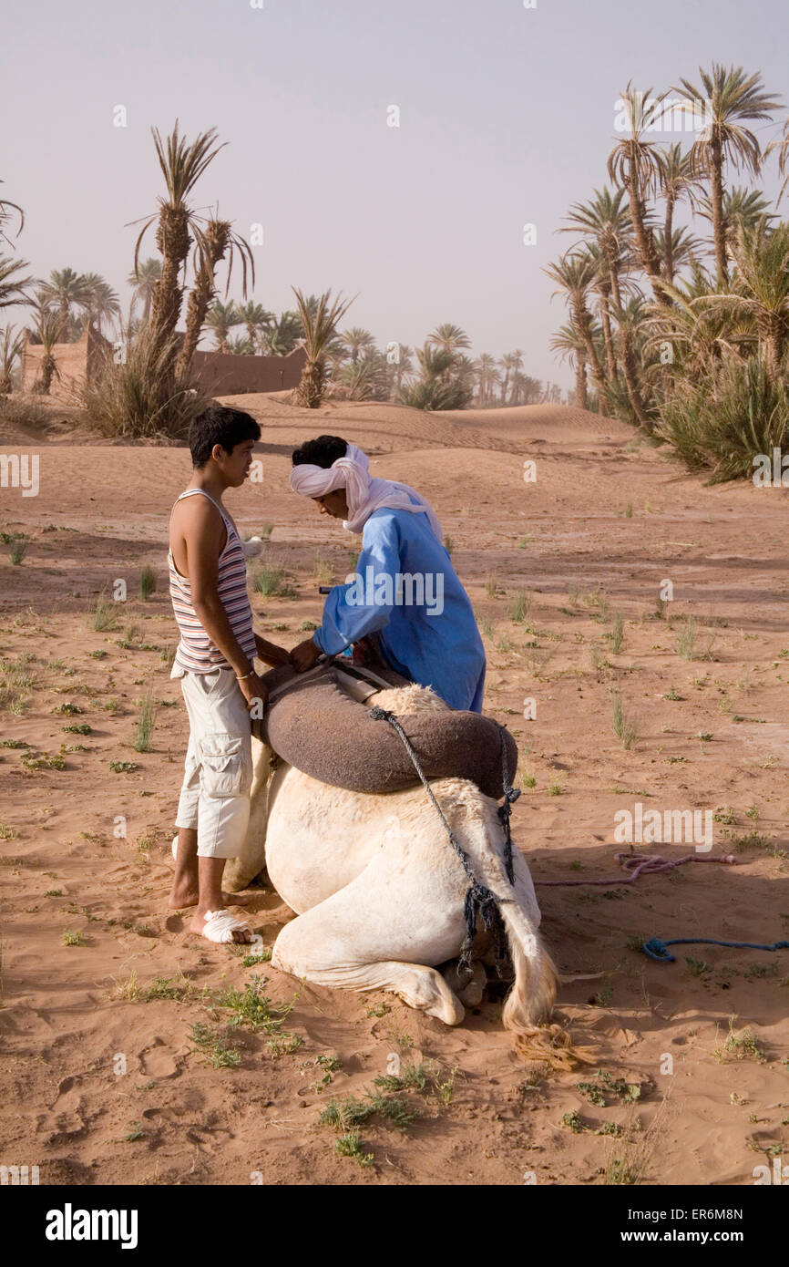 People riding camel in desert camel hi-res stock photography and images ...