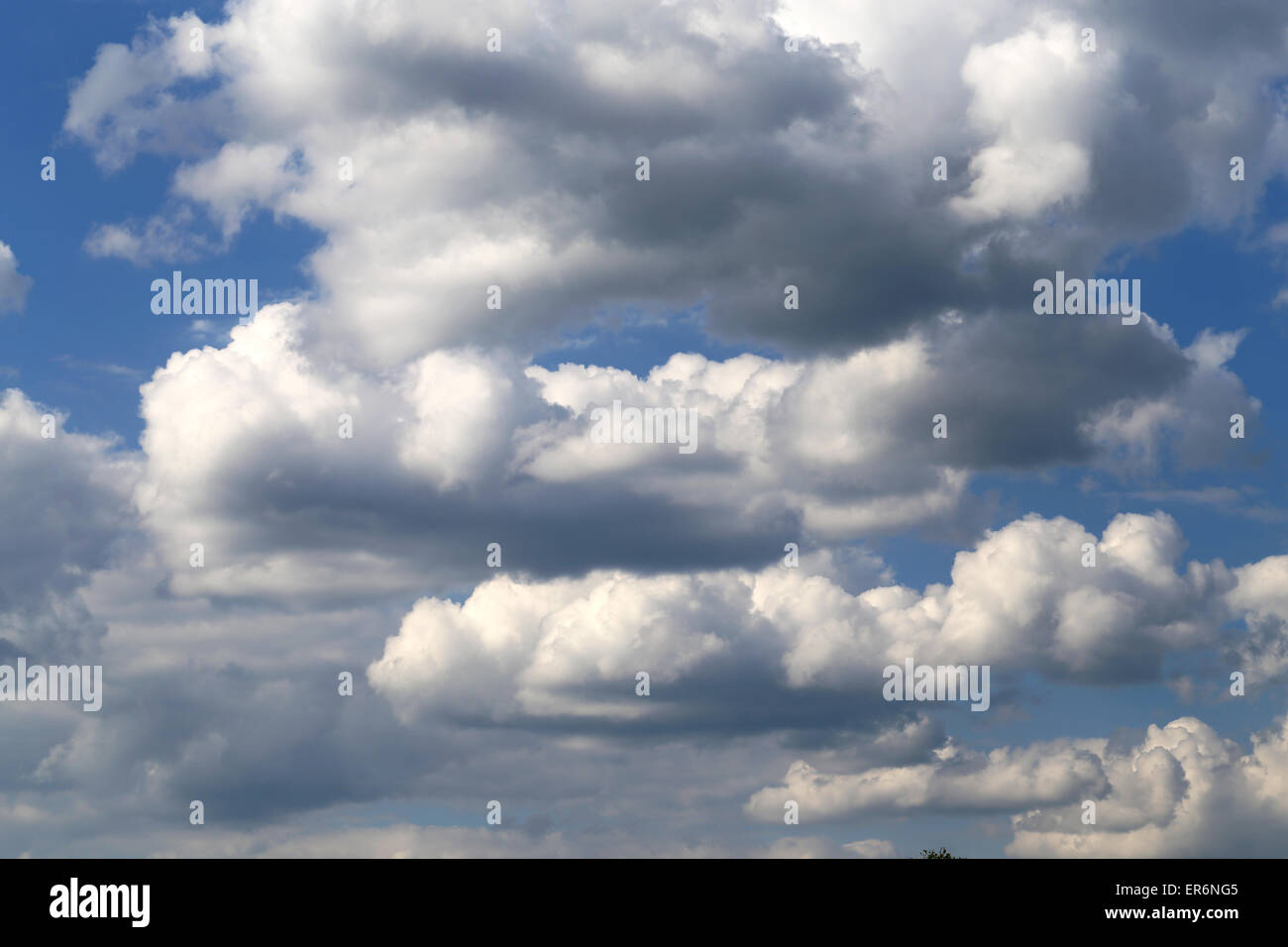 Beautiful white clouds photographed closeup against blue sky Stock ...