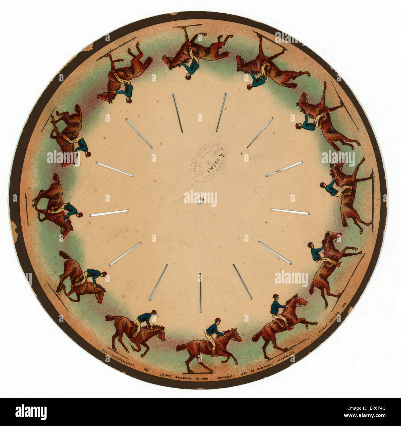 The zoopraxiscope - Horse galloping Stock Photo - Alamy