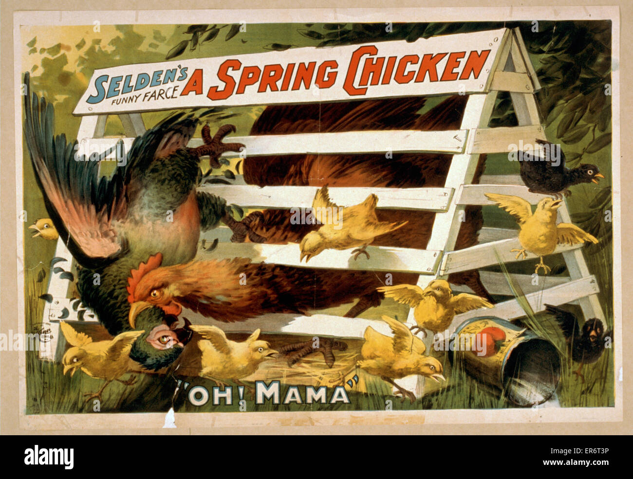Selden's funny farce, A spring chicken Stock Photo - Alamy