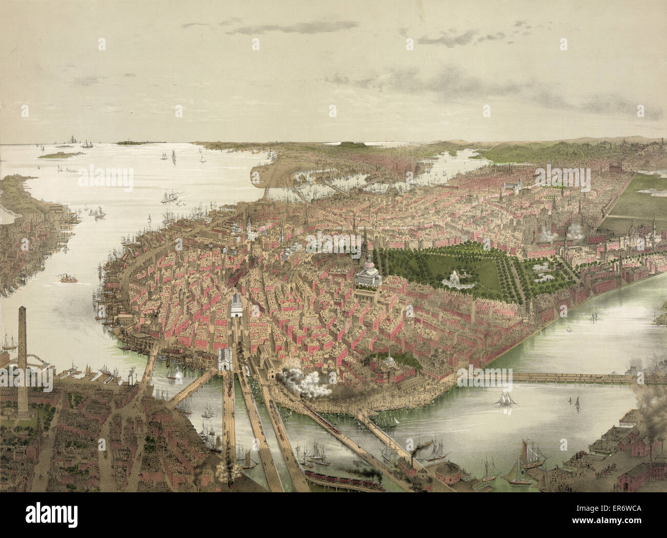 Boston birds hi-res stock photography and images - Alamy