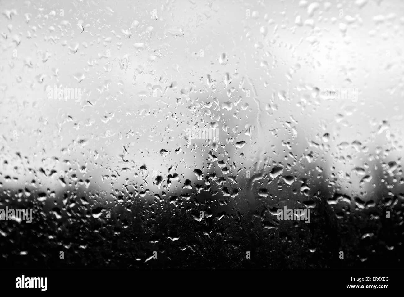 Detailed black and white image Stock Photo - Alamy