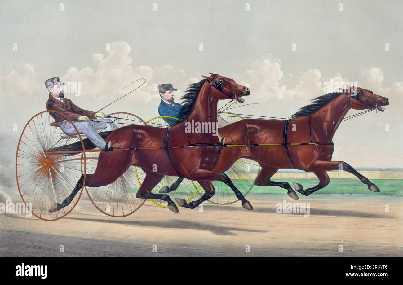 Lucy and goldsmith maid horse horses trotter race racing sport hi-res ...