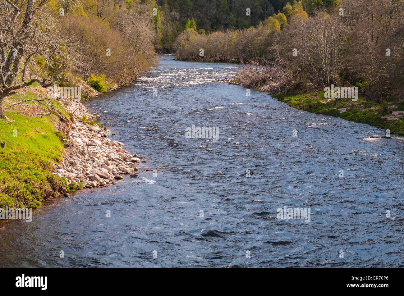 Looking up the River Findhorn from Logie Bridge, Moray, Scotland Stock ...