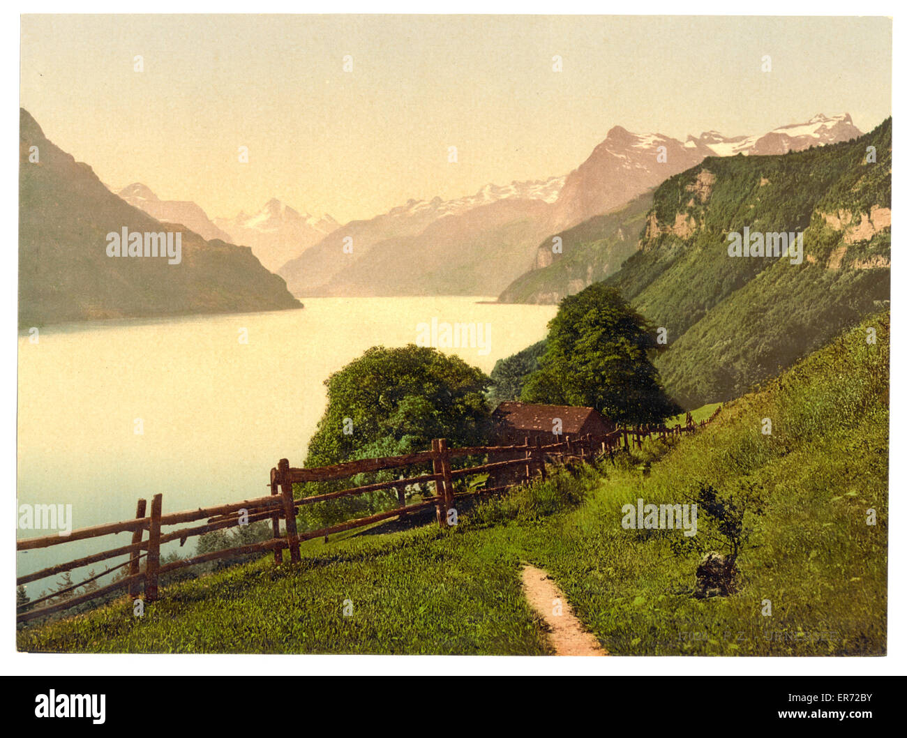 Urnersee, general view, Lake Lucerne, Switzerland Stock Photo - Alamy