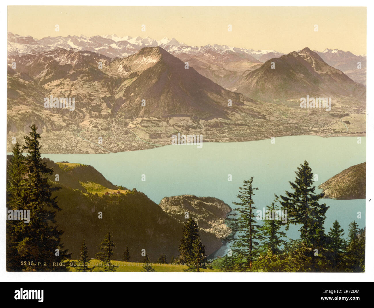 Rigi Scheidegg, looking towards Oberland Alps, Rigi, Switzer Stock ...