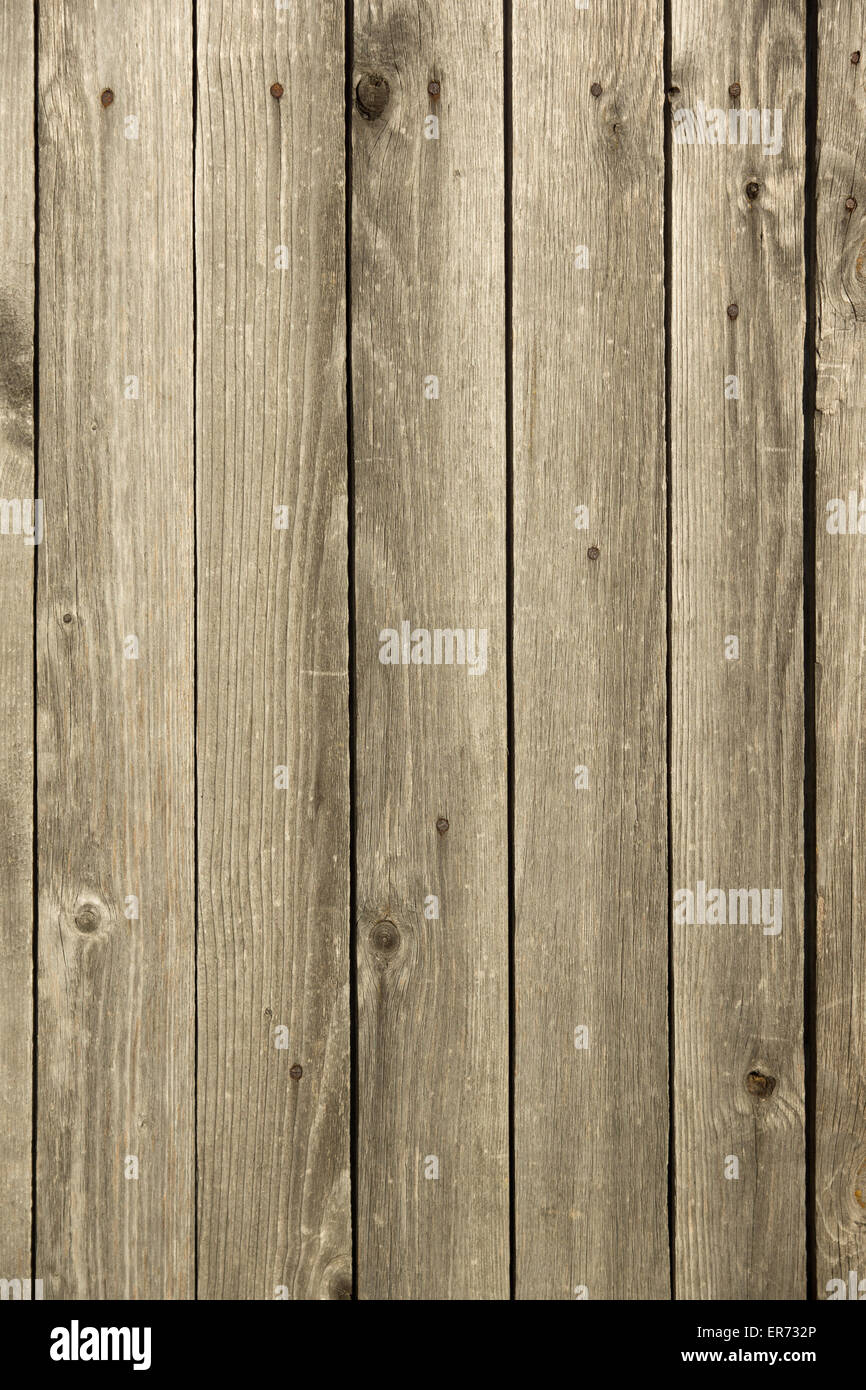 Texture of wood with vertical boards. The tree a natural way grew old ...