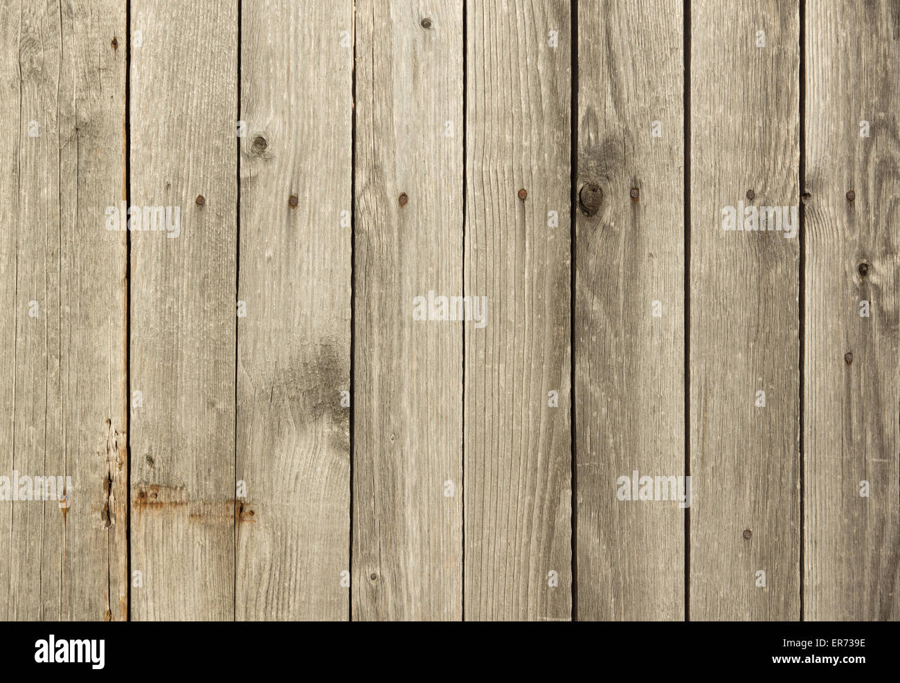Texture of wood with vertical boards. The tree a natural way grew old ...