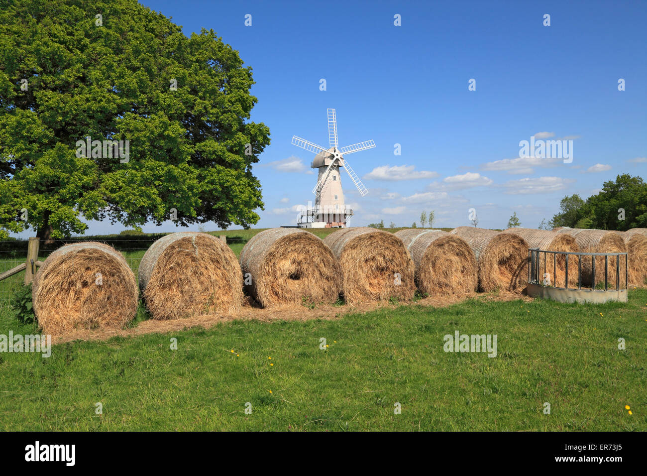 Windmill, Sandhurst, Kent, England, UK Stock Photo - Alamy