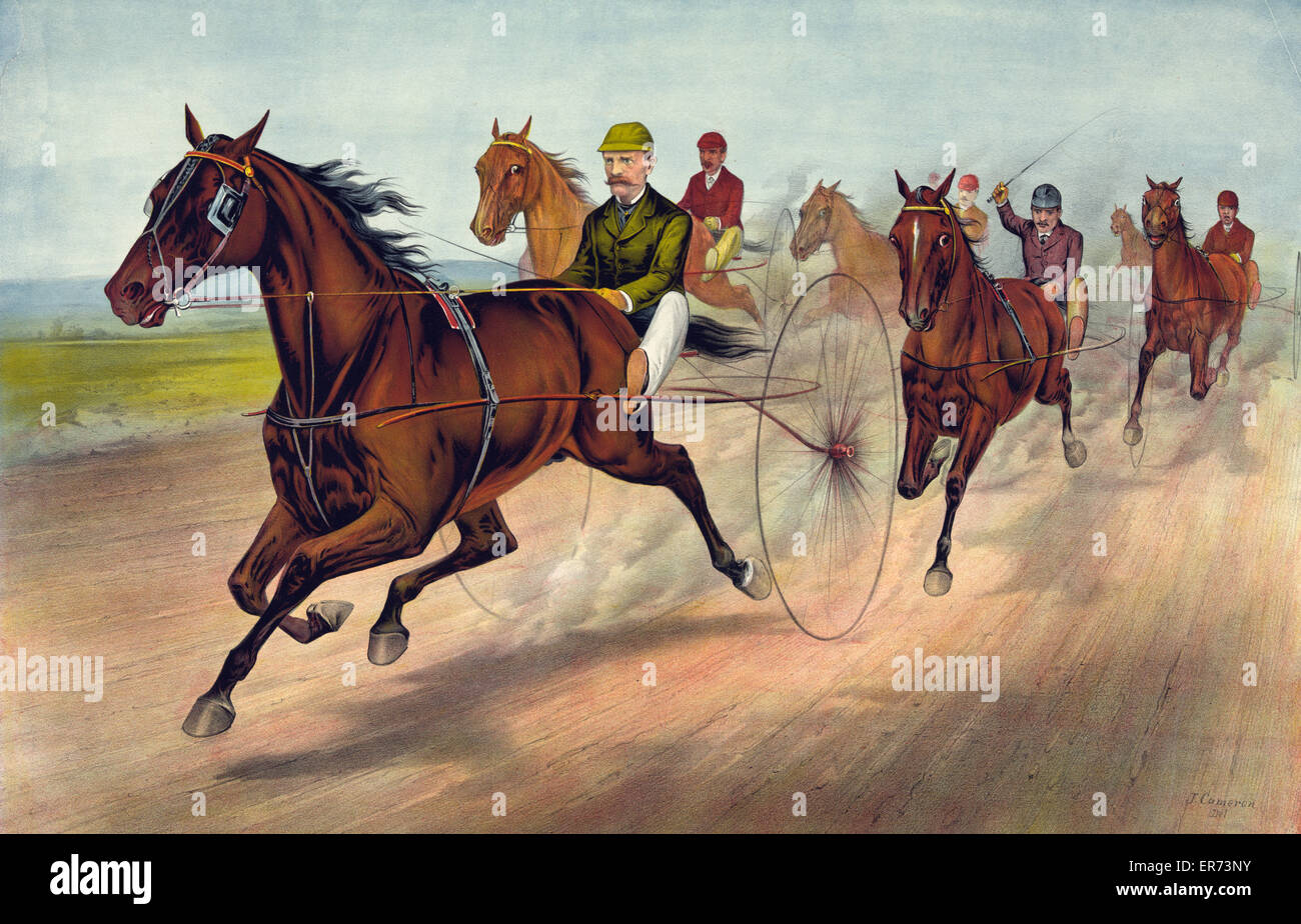 A sure horse for the first money Stock Photo - Alamy