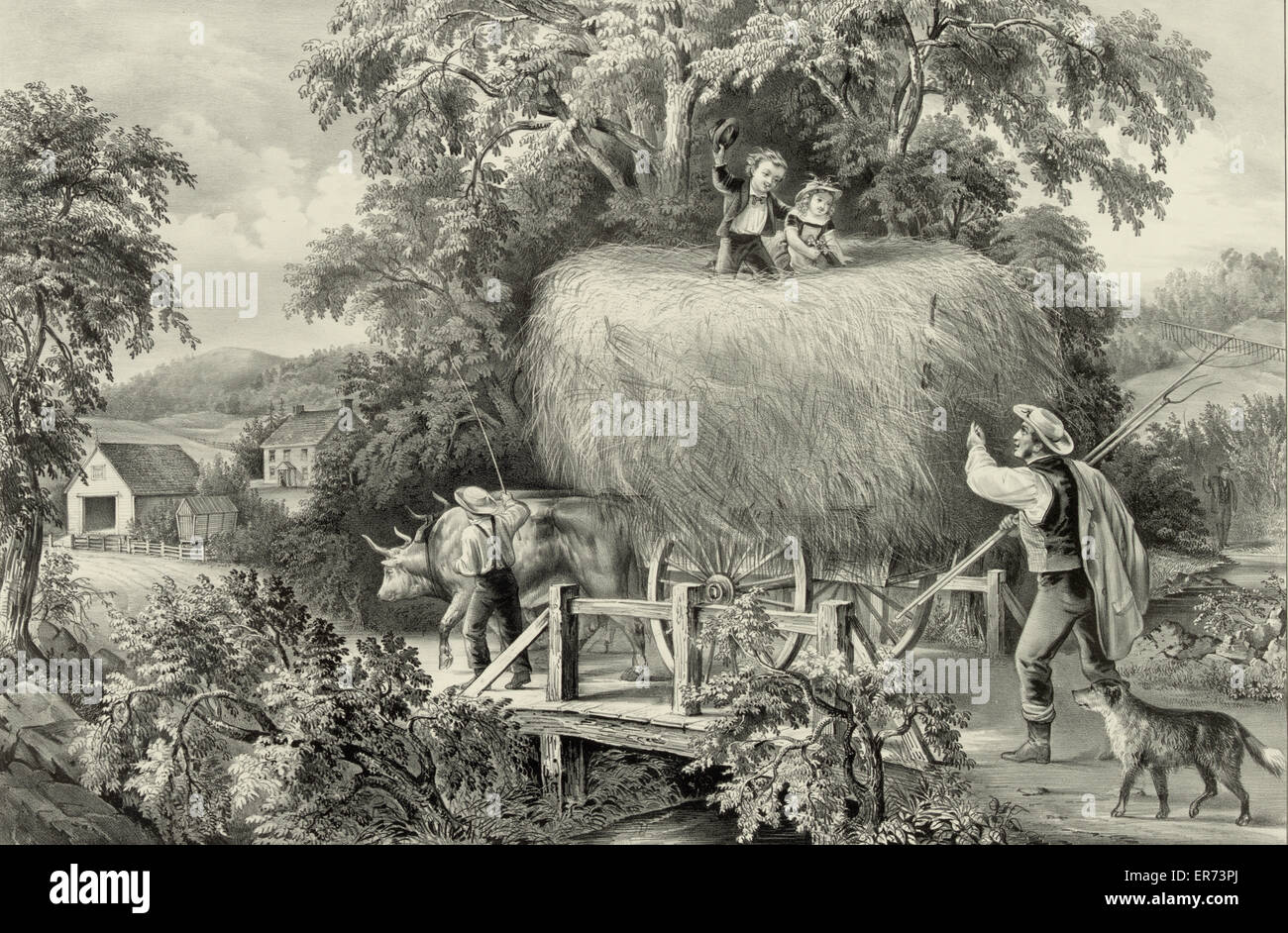 Haying-time the first load Stock Photo - Alamy