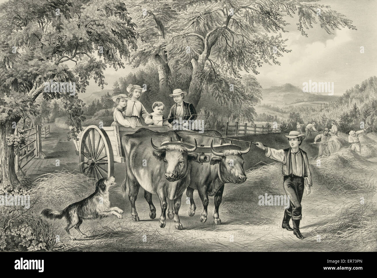 Haying-time the last load Stock Photo - Alamy