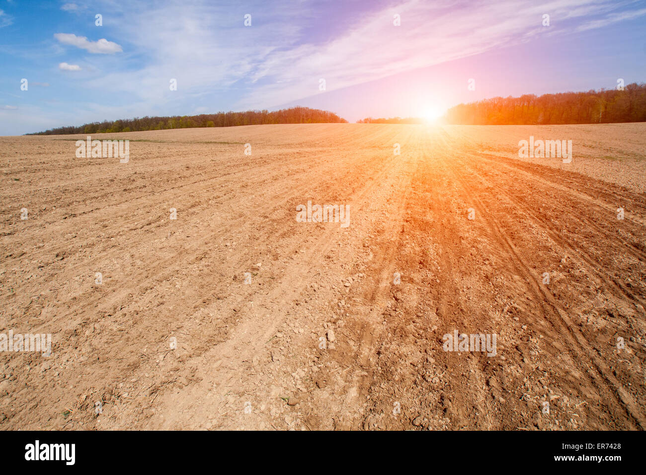 Beautiful sunrise over the large brown field in spring season Stock ...