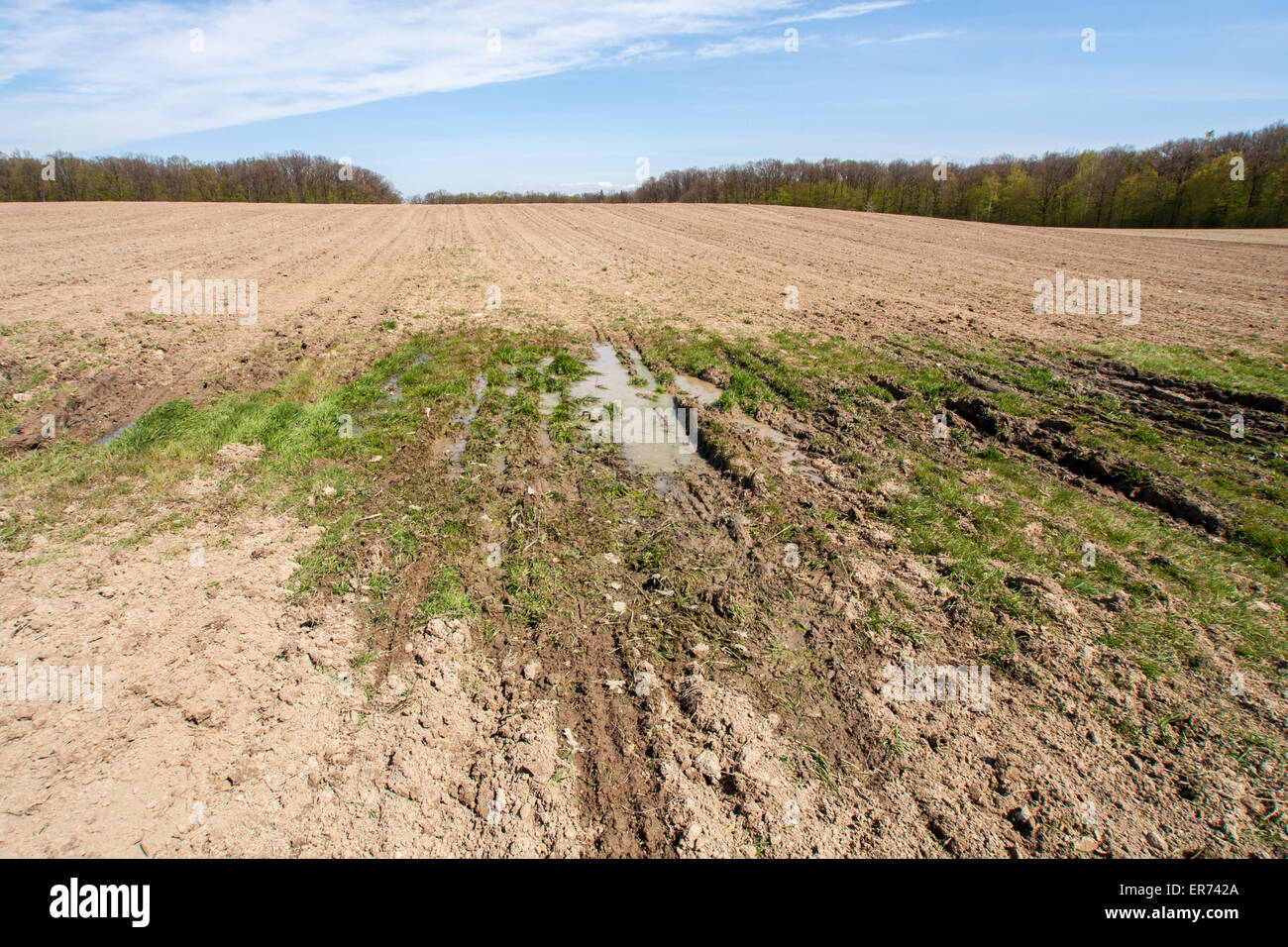 Lawn after rain puddle hi-res stock photography and images - Alamy