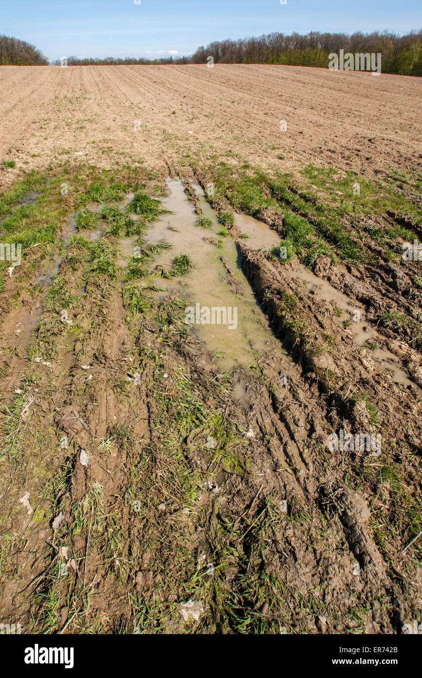 The muddy field after the big rain Stock Photo - Alamy