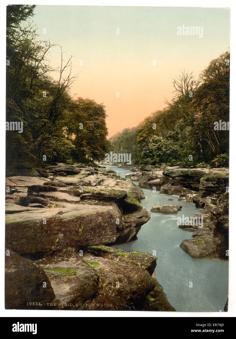 Strid woods hi-res stock photography and images - Alamy