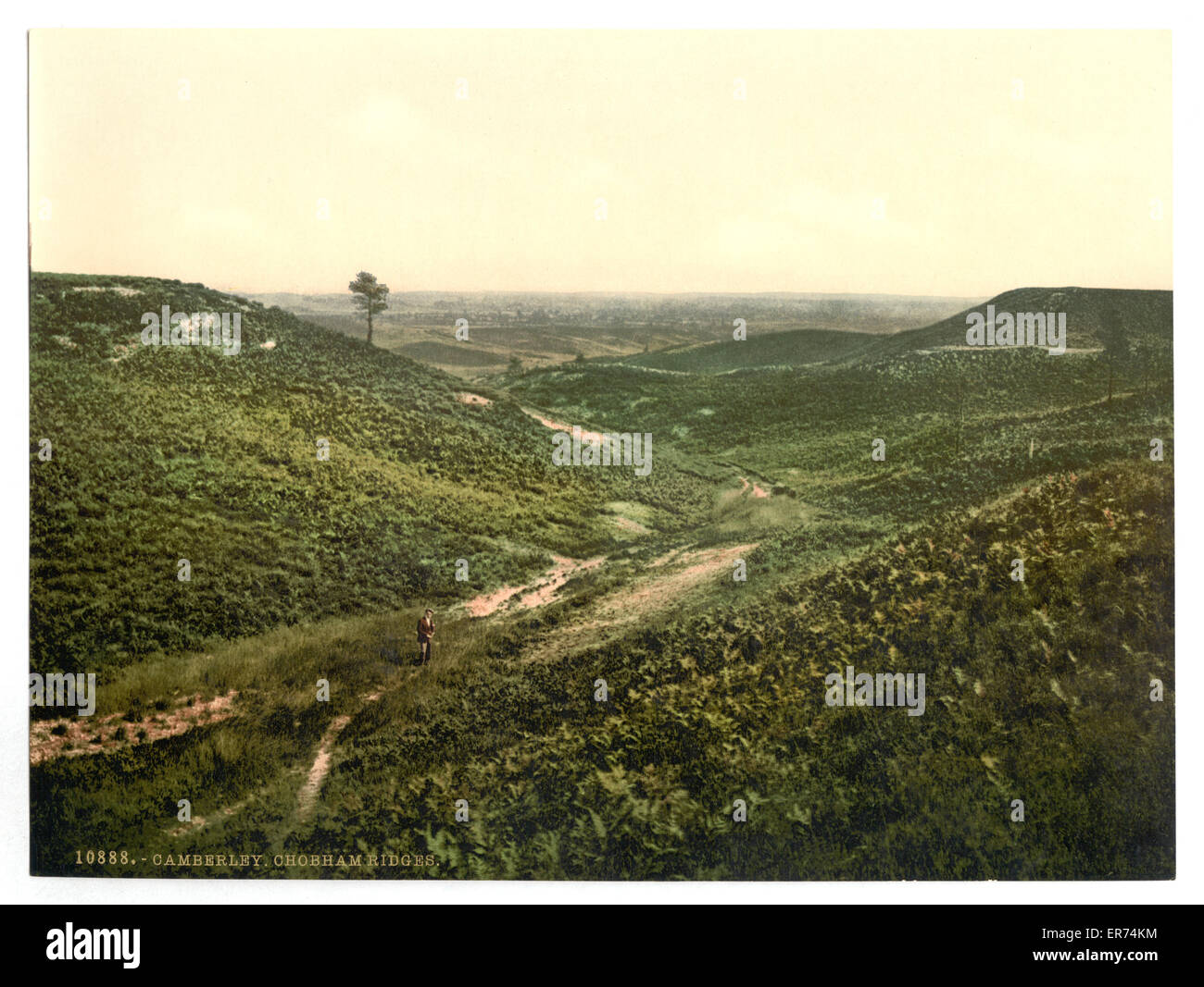 Chobham Ridges, Camberley, England Stock Photo - Alamy