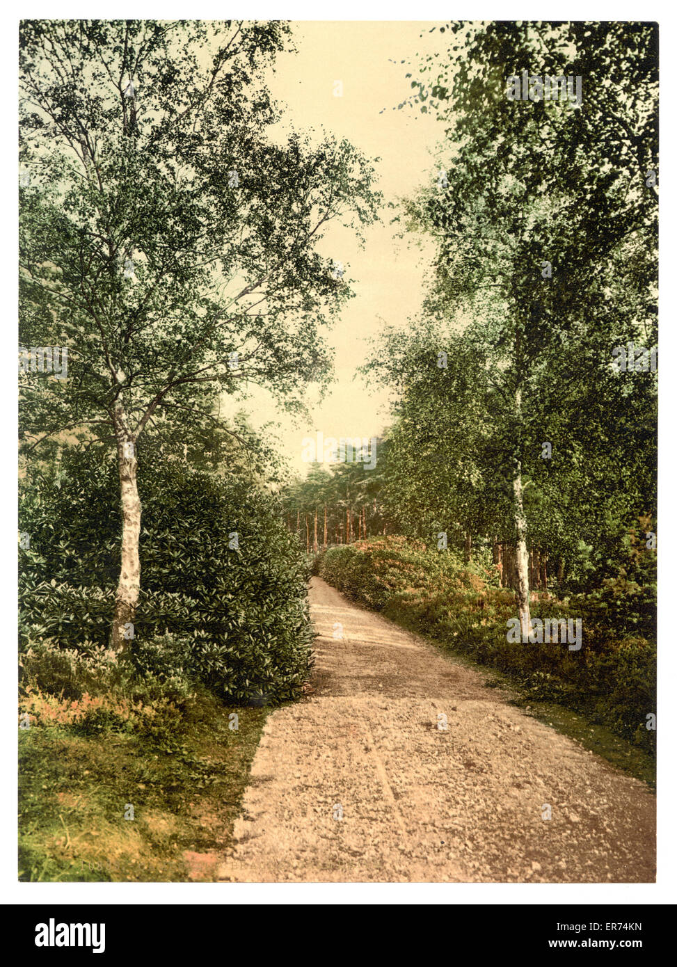 Brackendale hi-res stock photography and images - Alamy