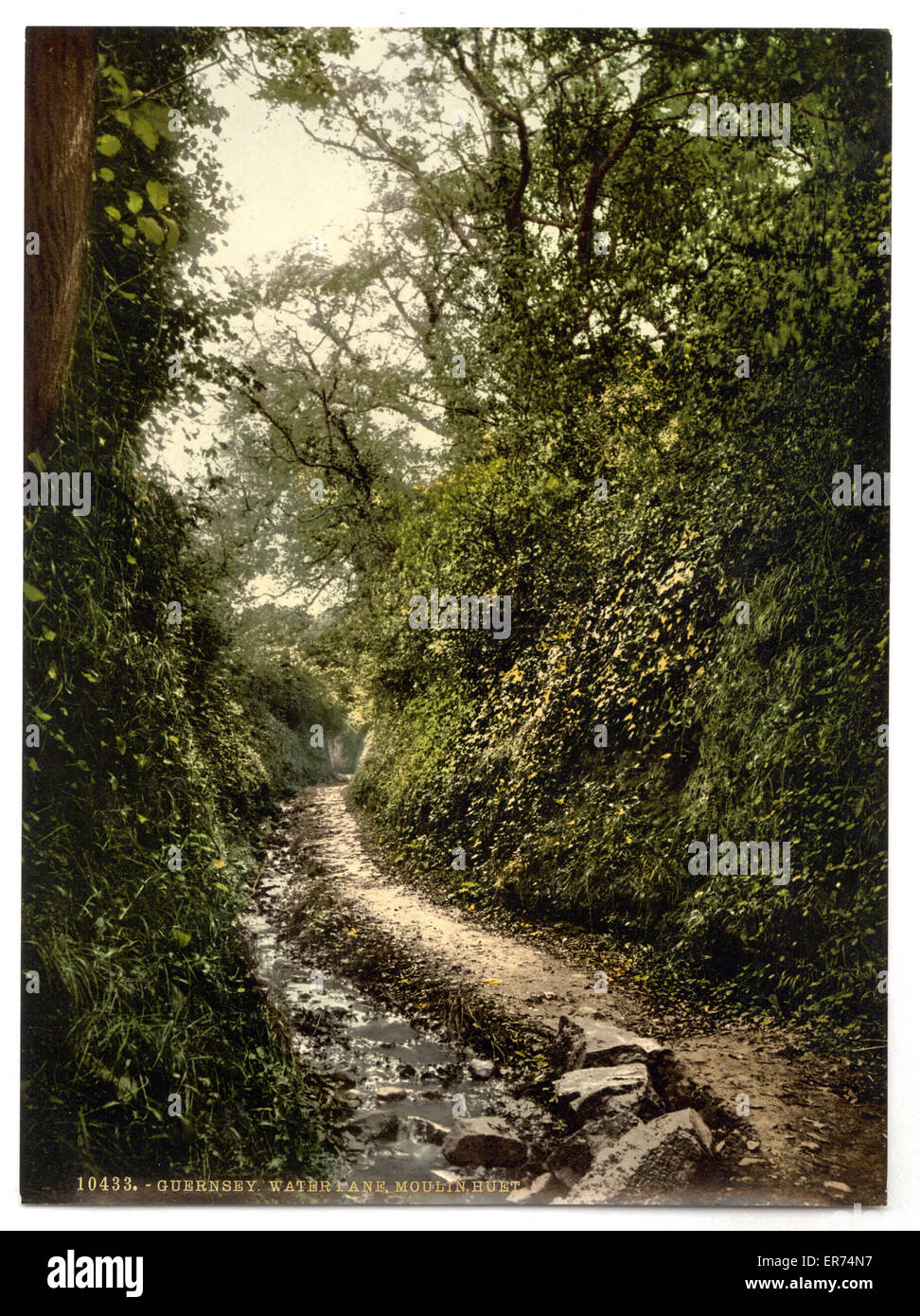 Guernsey, water lane, Moulin Huet, Channel Islands, England Stock Photo ...