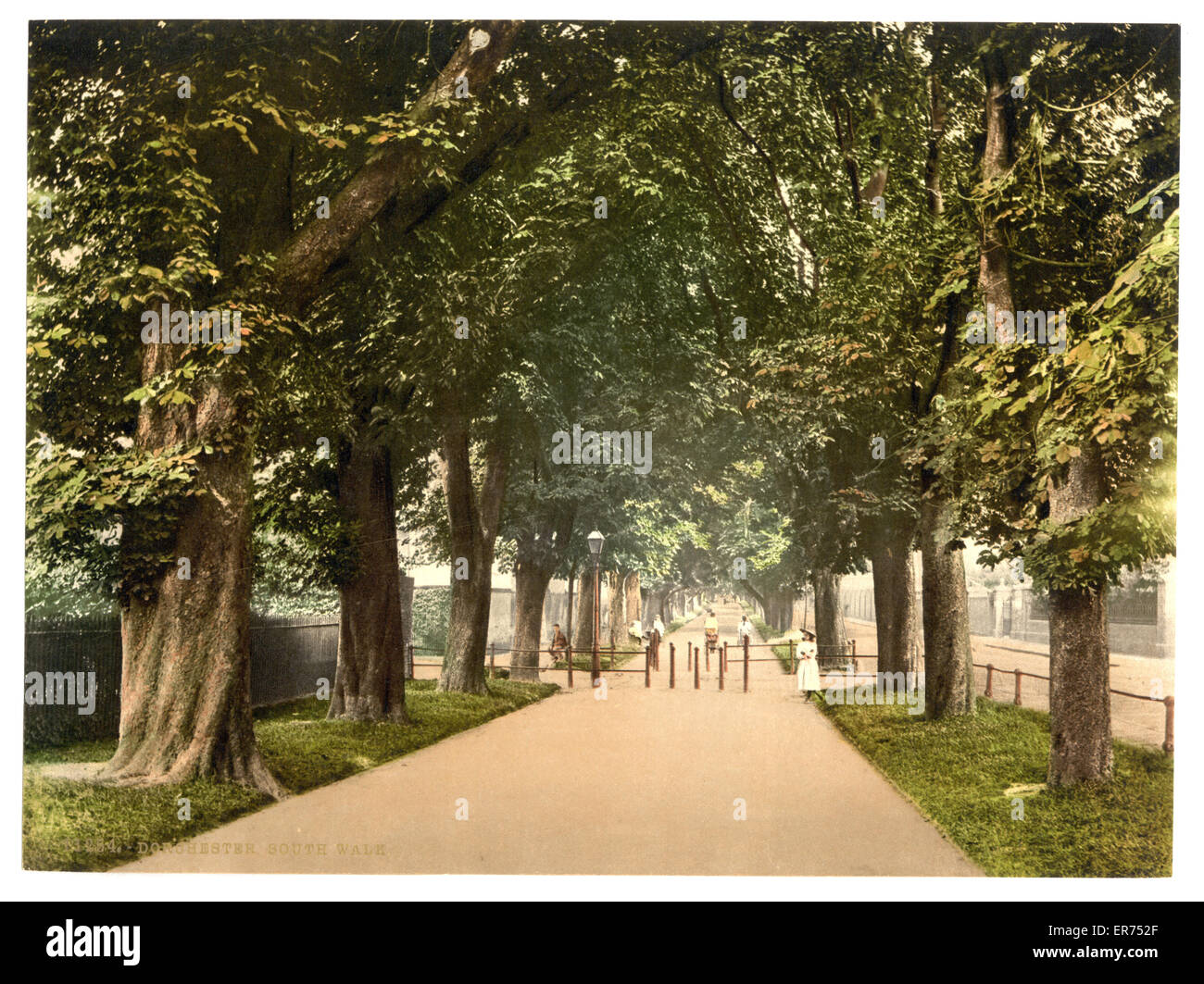 South Walk, Dorchester, England Stock Photo - Alamy