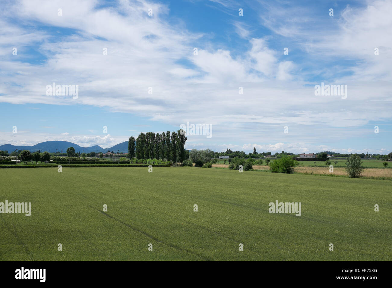 Italian countryside hi-res stock photography and images - Alamy
