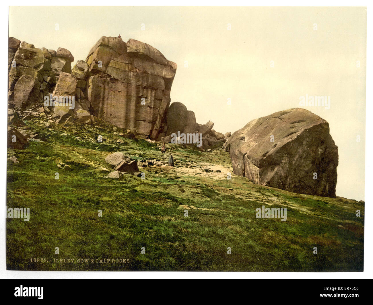 Cow and calf rocks hi-res stock photography and images - Alamy