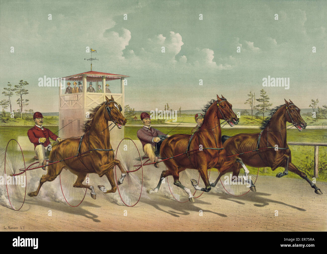 Trotting for a great stake Stock Photo - Alamy