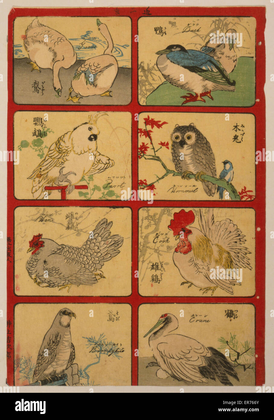 Individual birds hi-res stock photography and images - Alamy