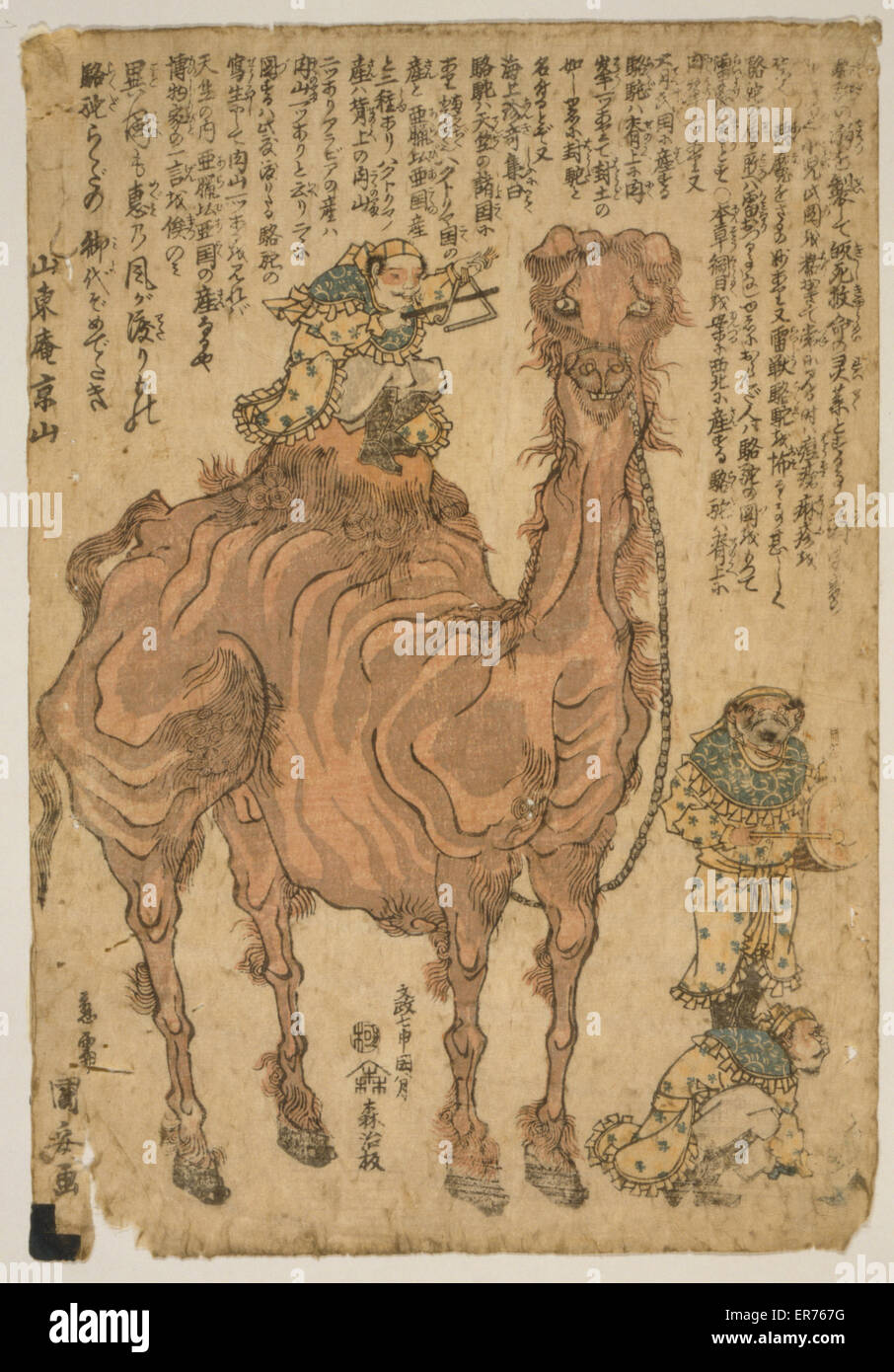 Camel prints hi-res stock photography and images - Alamy