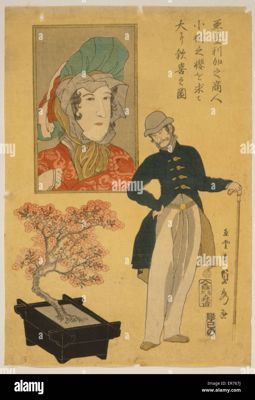 American merchant delighted with miniature cherry tree Stock Photo - Alamy