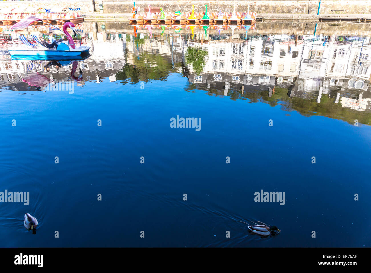 Bouillon, Belgium. Ducks swimming and swan-shaped boats on the river ...