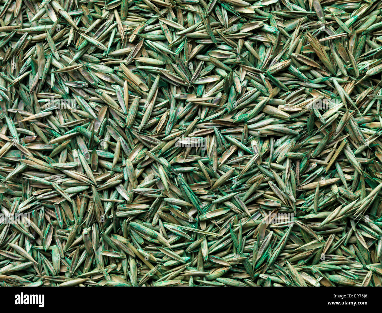 Full seed hi-res stock photography and images - Alamy