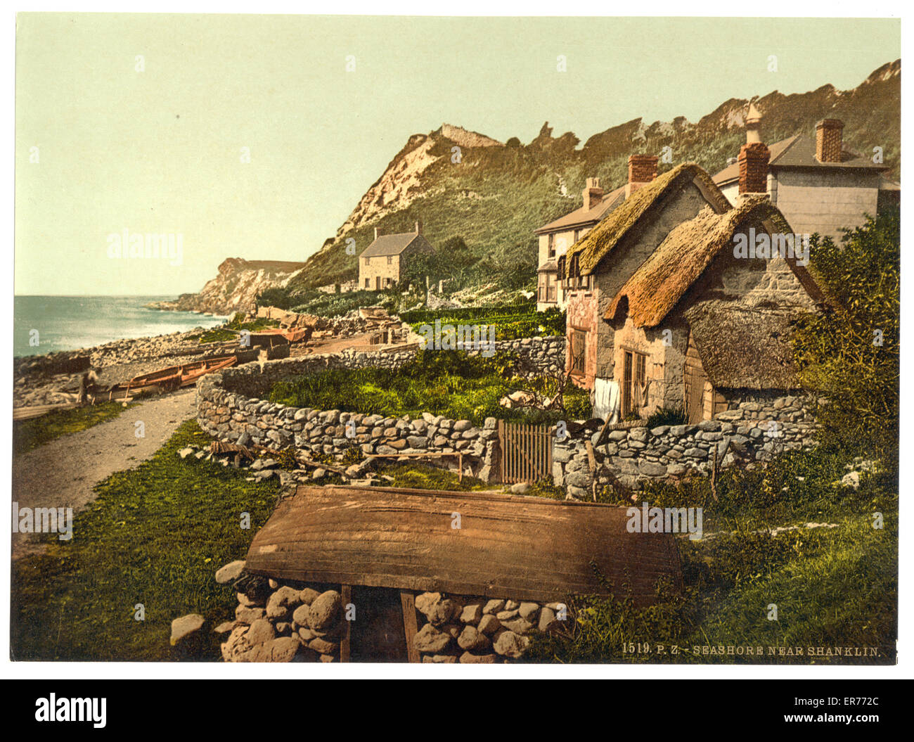 Searshore near Shanklin, Isle of Wight, England Stock Photo - Alamy