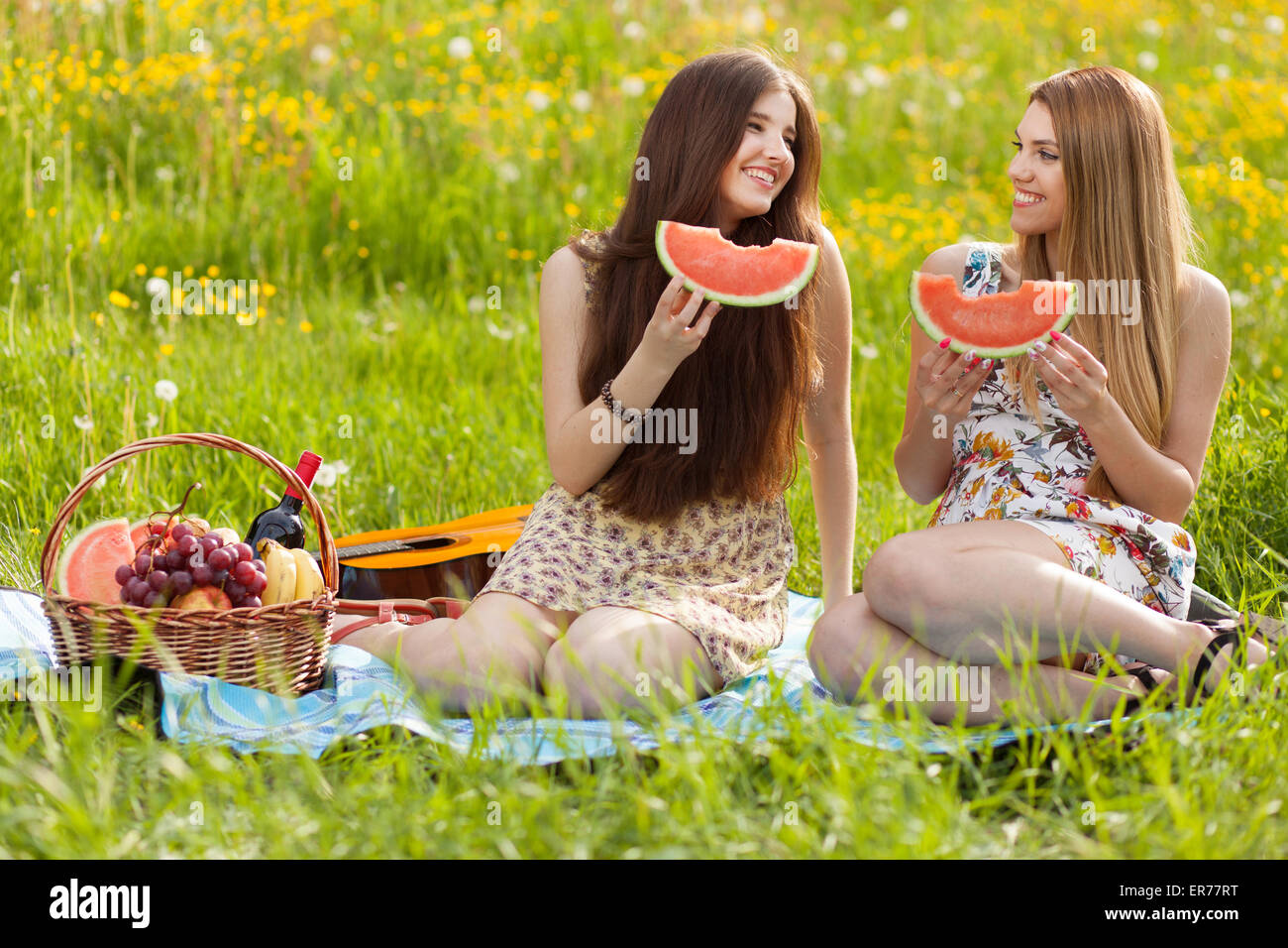 Person with picnic basket hi-res stock photography and images - Alamy