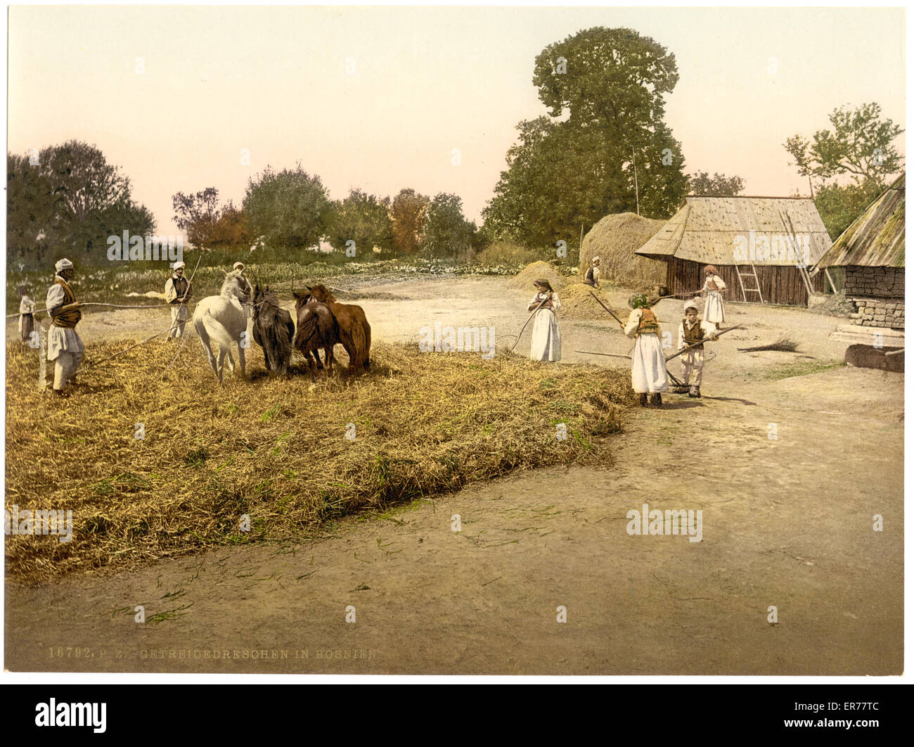 Grain threshing hi-res stock photography and images - Alamy