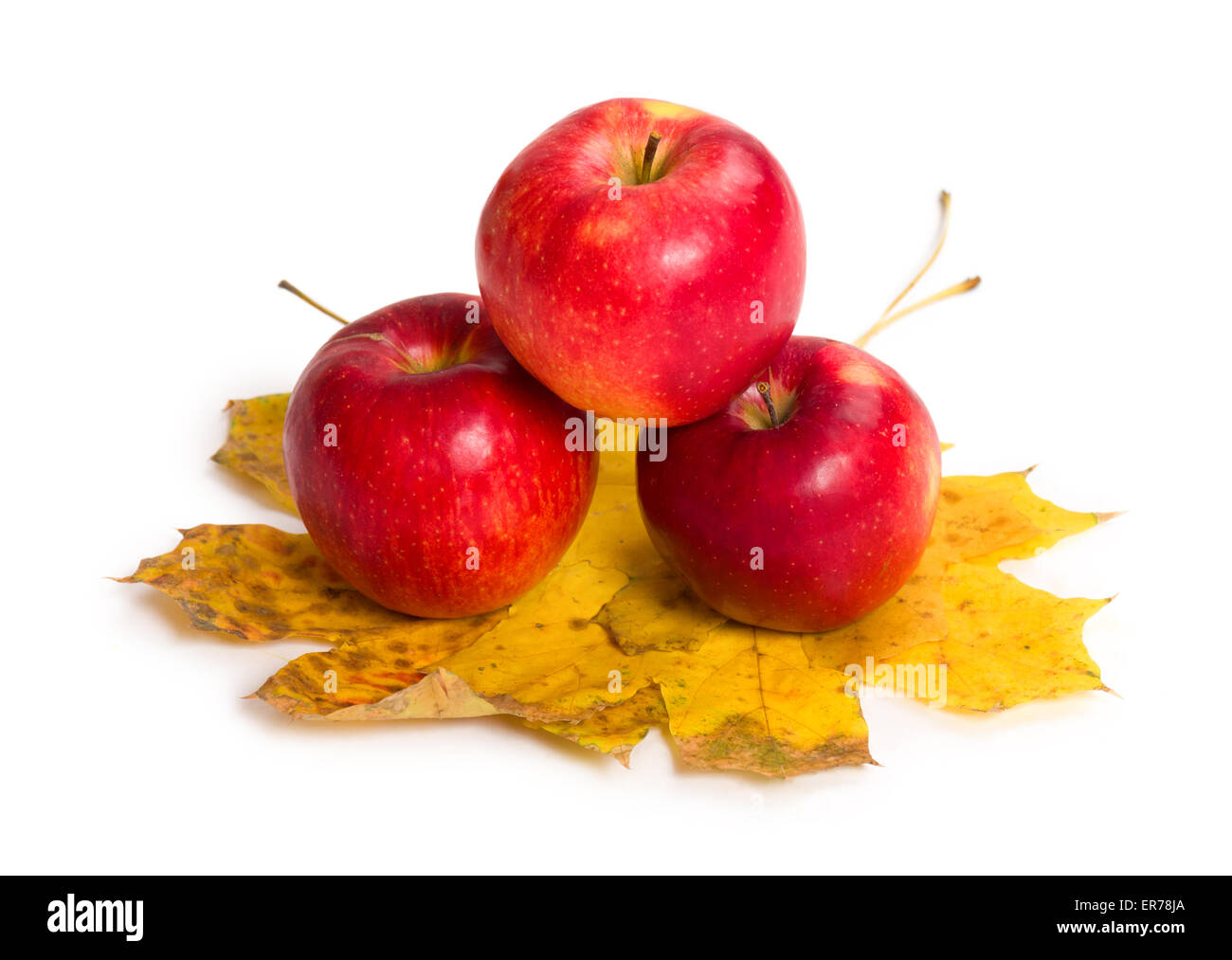 Autumn vegetables leaves apples Cut Out Stock Images & Pictures - Alamy