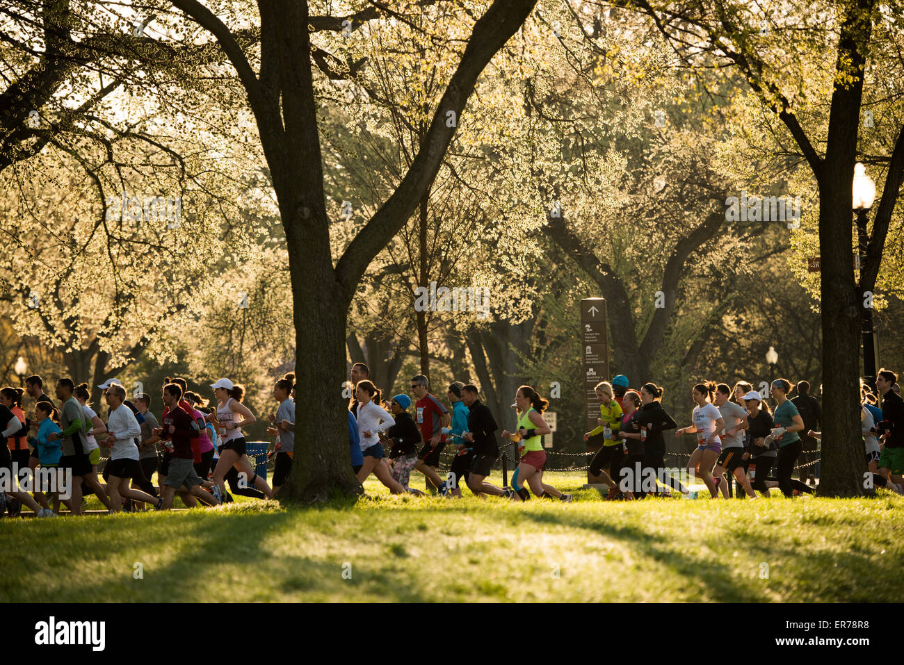 WASHINGTON DC, United States — The Cherry Blossom 10-Miler (formally ...