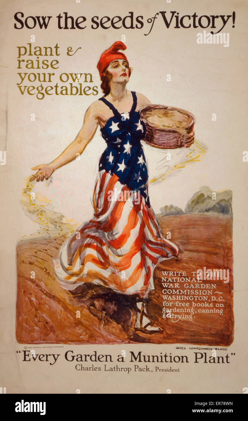 Sow the seeds of victory! Plant & raise your own vegetables Stock Photo ...